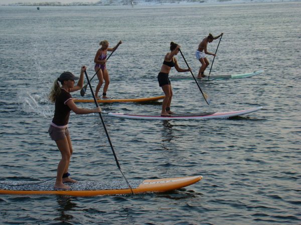 Stand Up Paddle Tours in Miami -- SoBe Surf