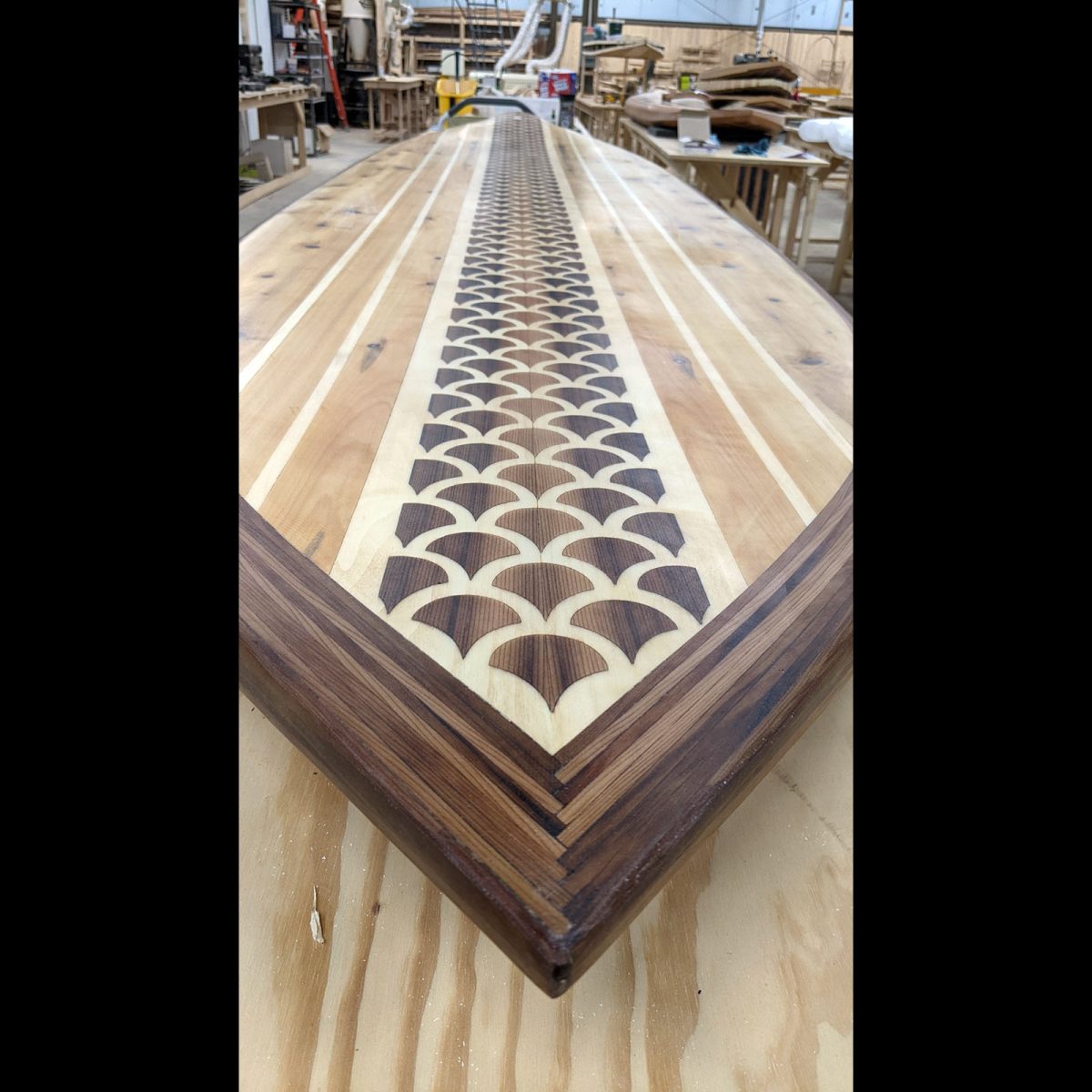 ECS SUP Barra Stand Up Paddle Board Complete Package – SoBe Surf Cocoa ...